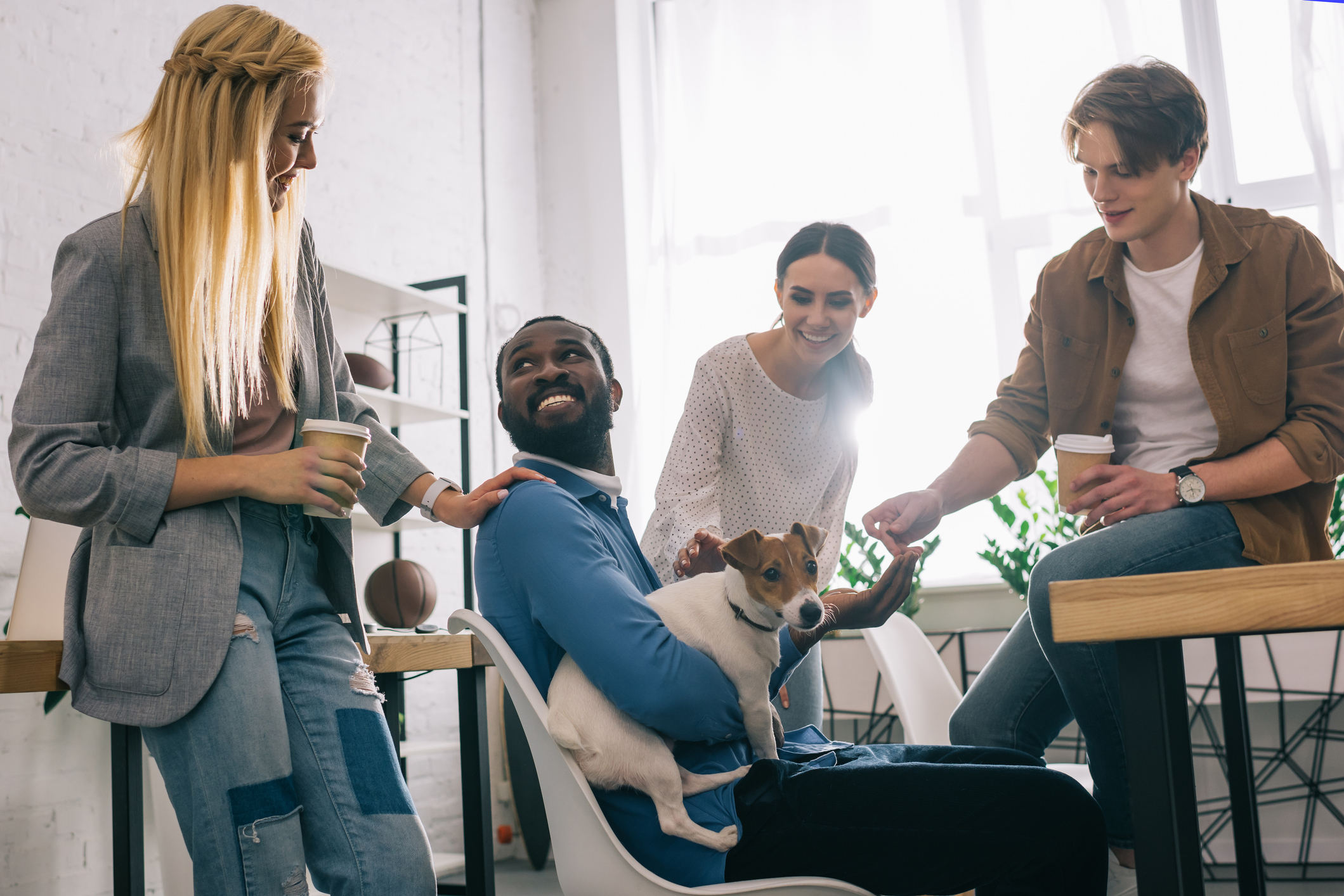 HR Expert: Dogs in Work